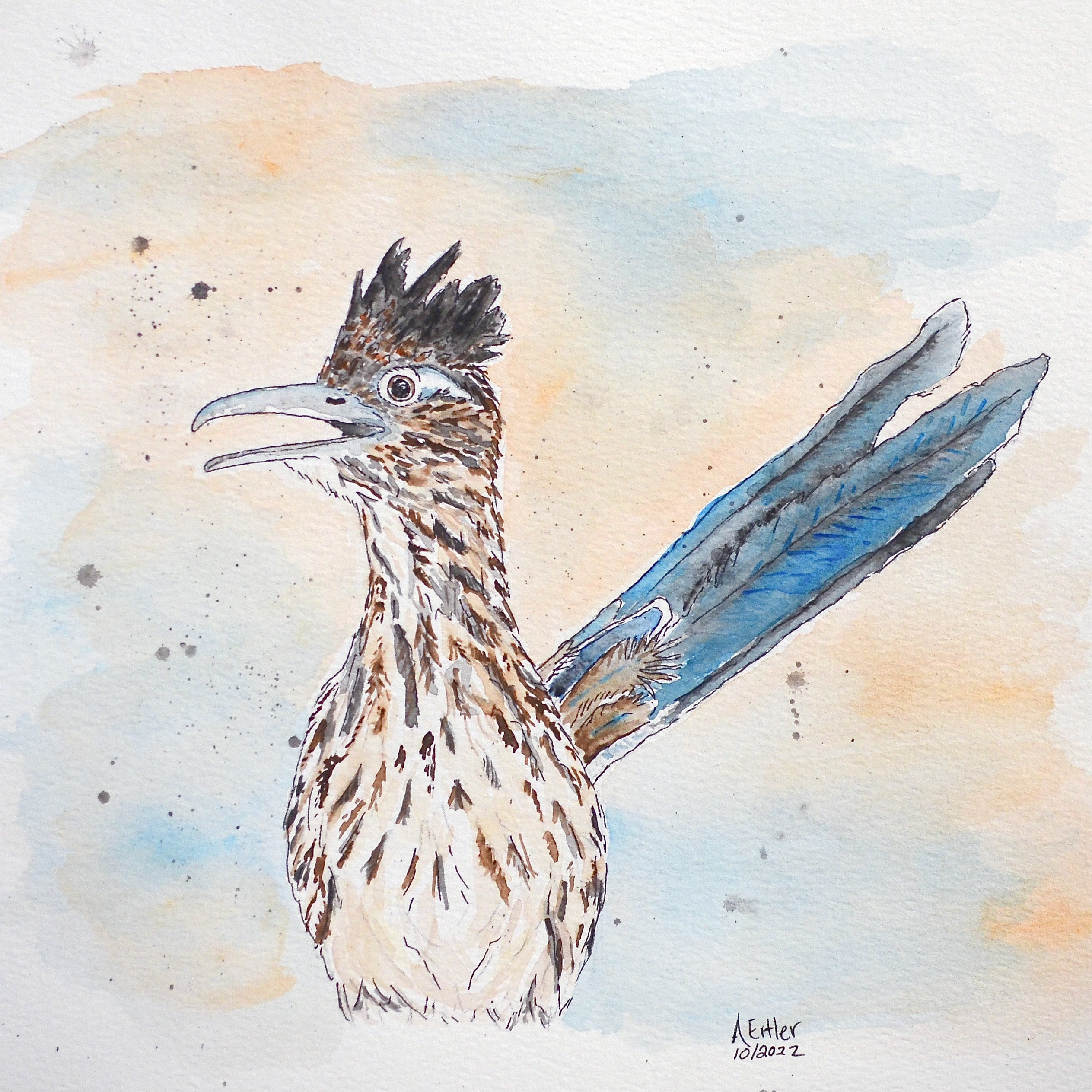 Watercolor Roadrunner - Etsy