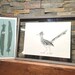 Roadrunner Ink Print - Etsy