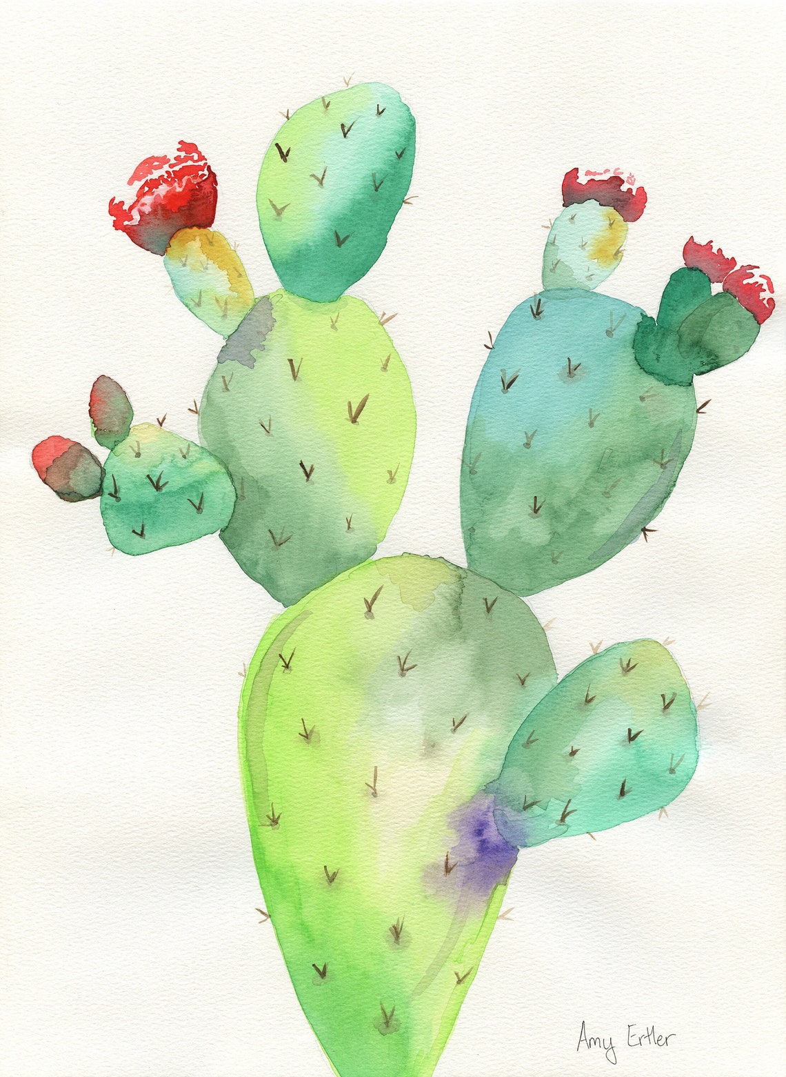 Prickly Pear Watercolor - Etsy