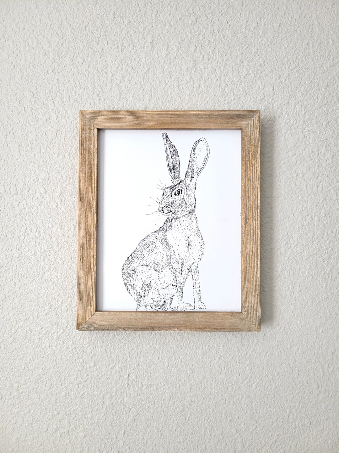 Jack Rabbit Art Print Hand Drawn in Pen - Etsy