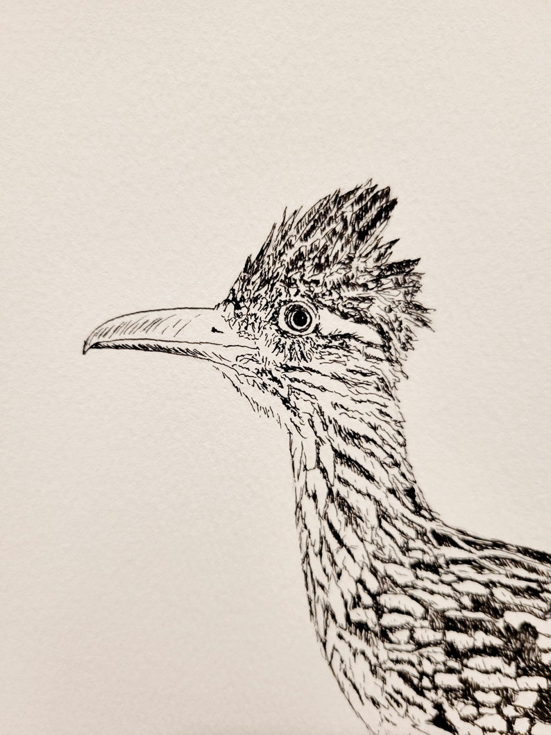 Roadrunner Ink Print - Etsy