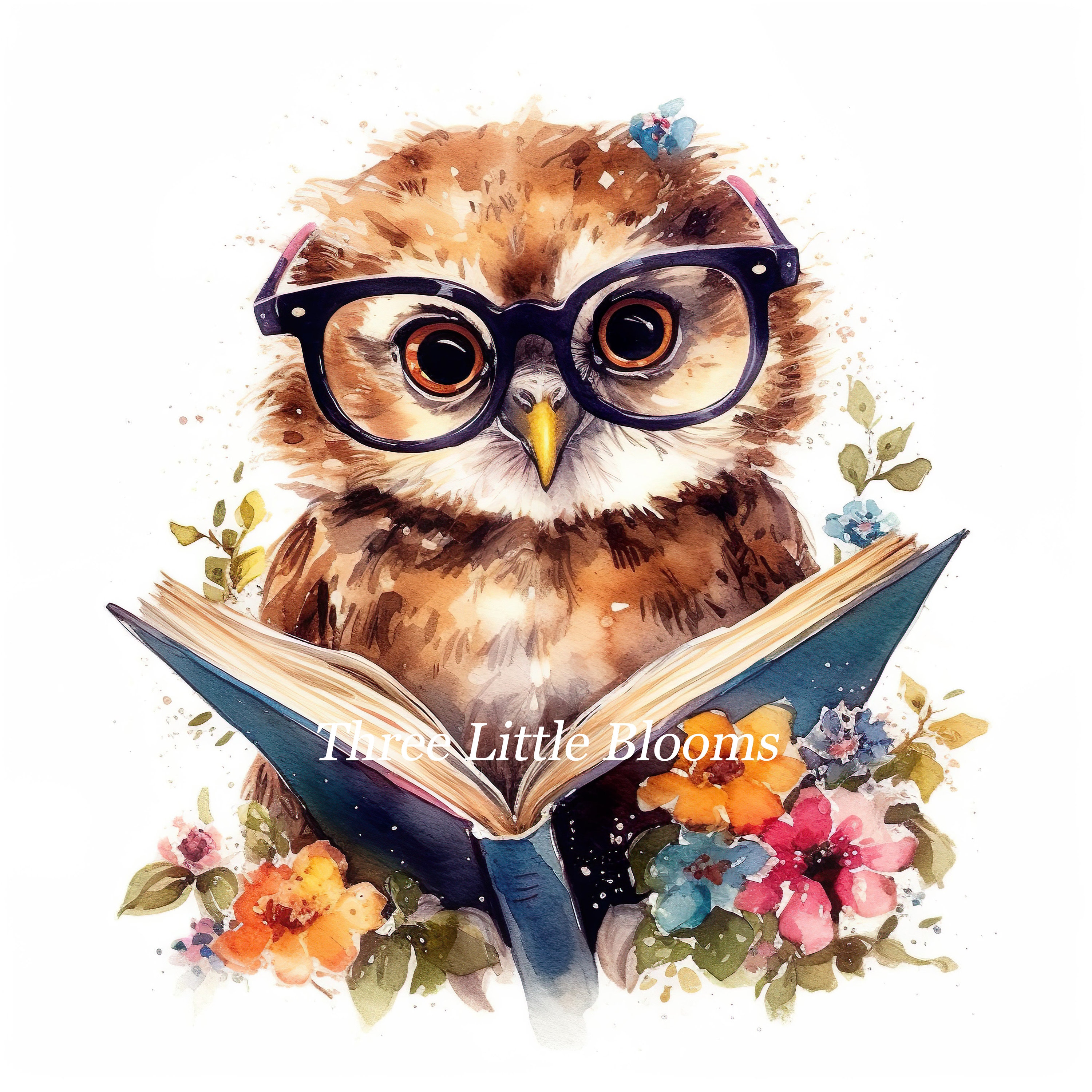 Cute Owl Reading Clip Art