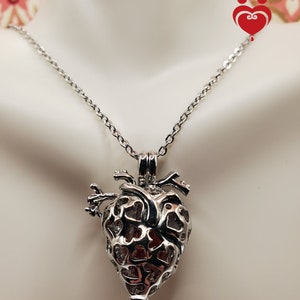 1 Anatomical Heart Locket Bloodvial Necklace Kit With 20" Stainless ...