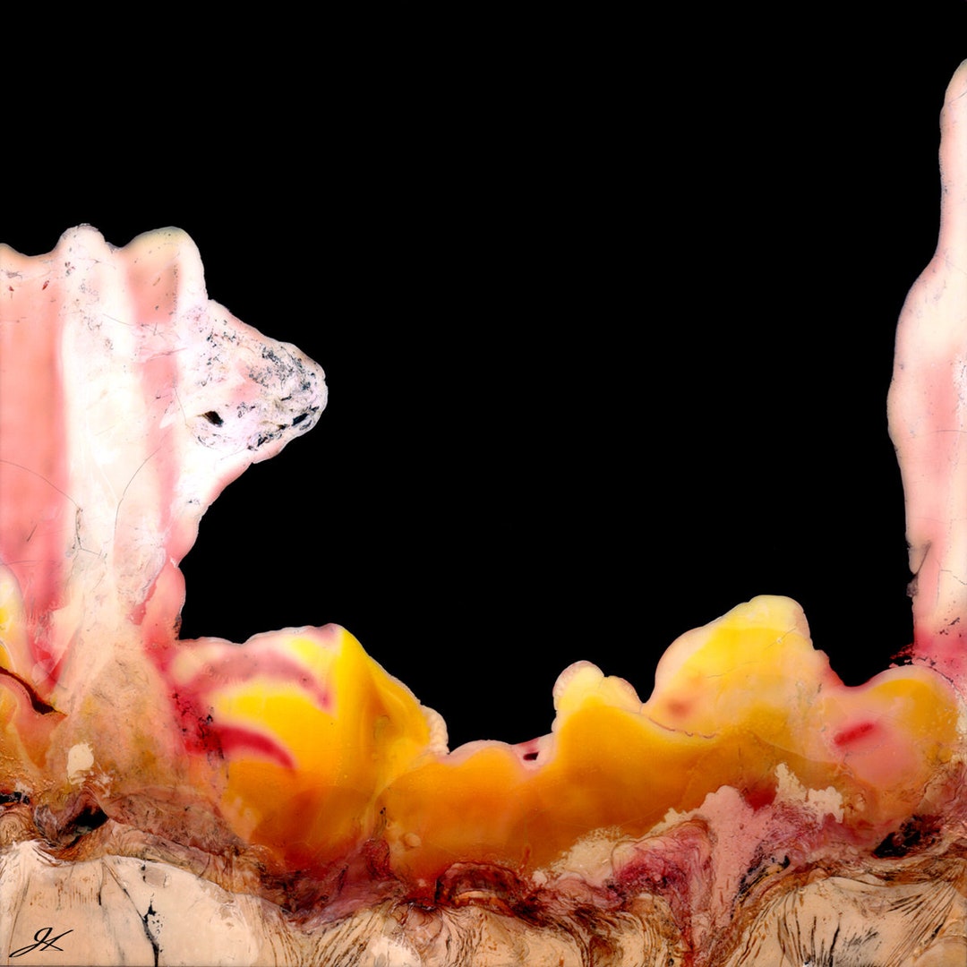 Body Snatchers, Digital Abstract Art - Etsy