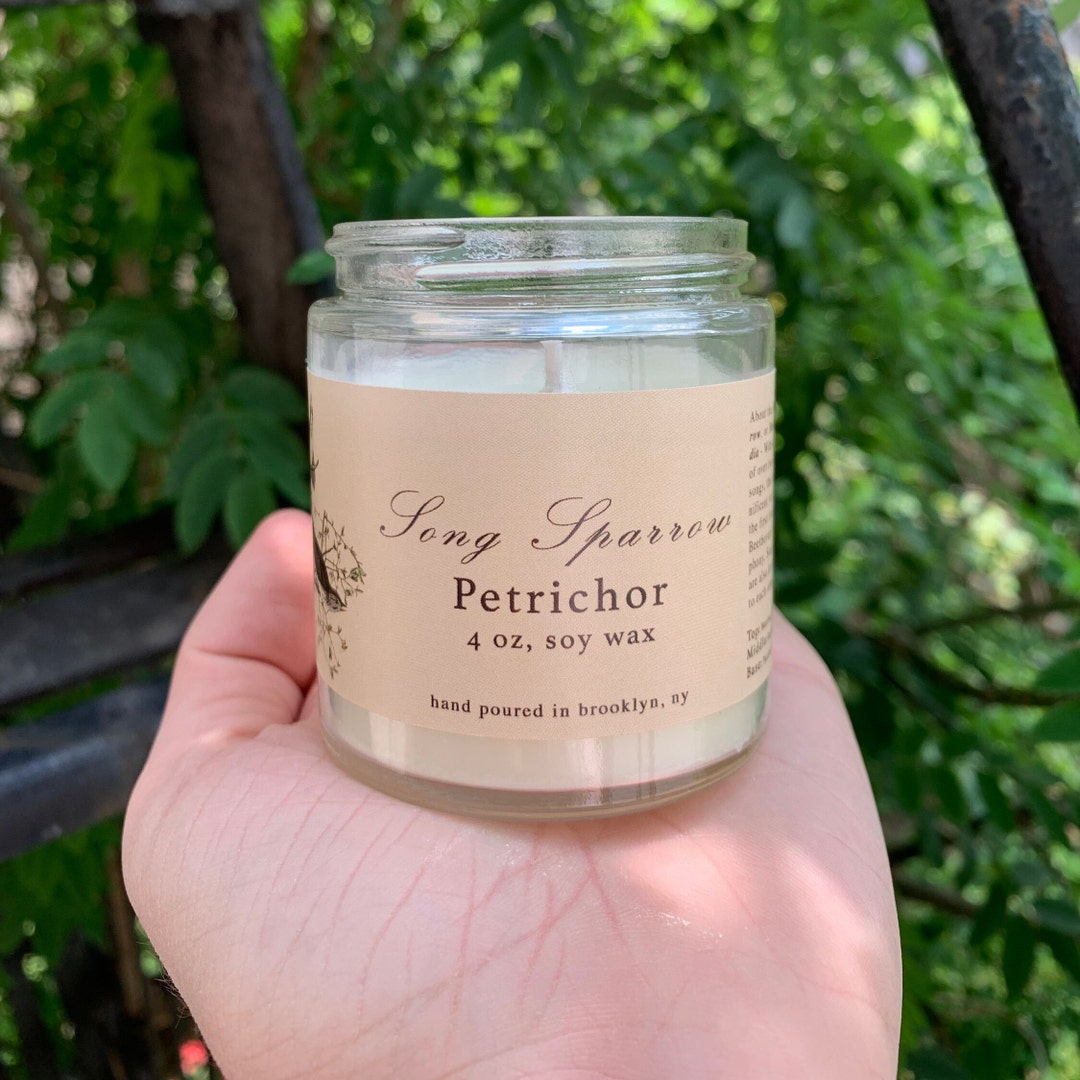 Petrichor Rain Scented Candle 4 Oz Hand Poured Soy Wax Candle Bird Themed Candle Song Sparrow - Etsy