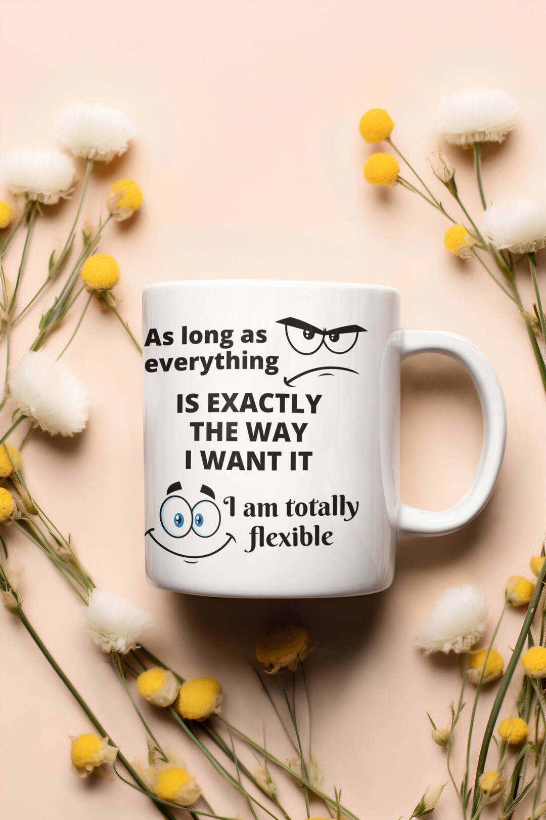 Rude Gift Coffee Mug, 11 Oz Two-tone Ceramic Hilarious Sarcastic Coffee ...