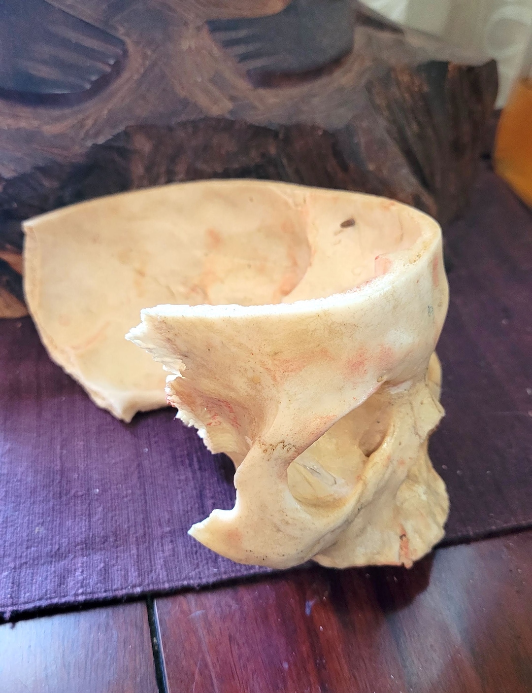 Human Skull STL, Cut in HALF. Teaching Tool Used in Forensic ...