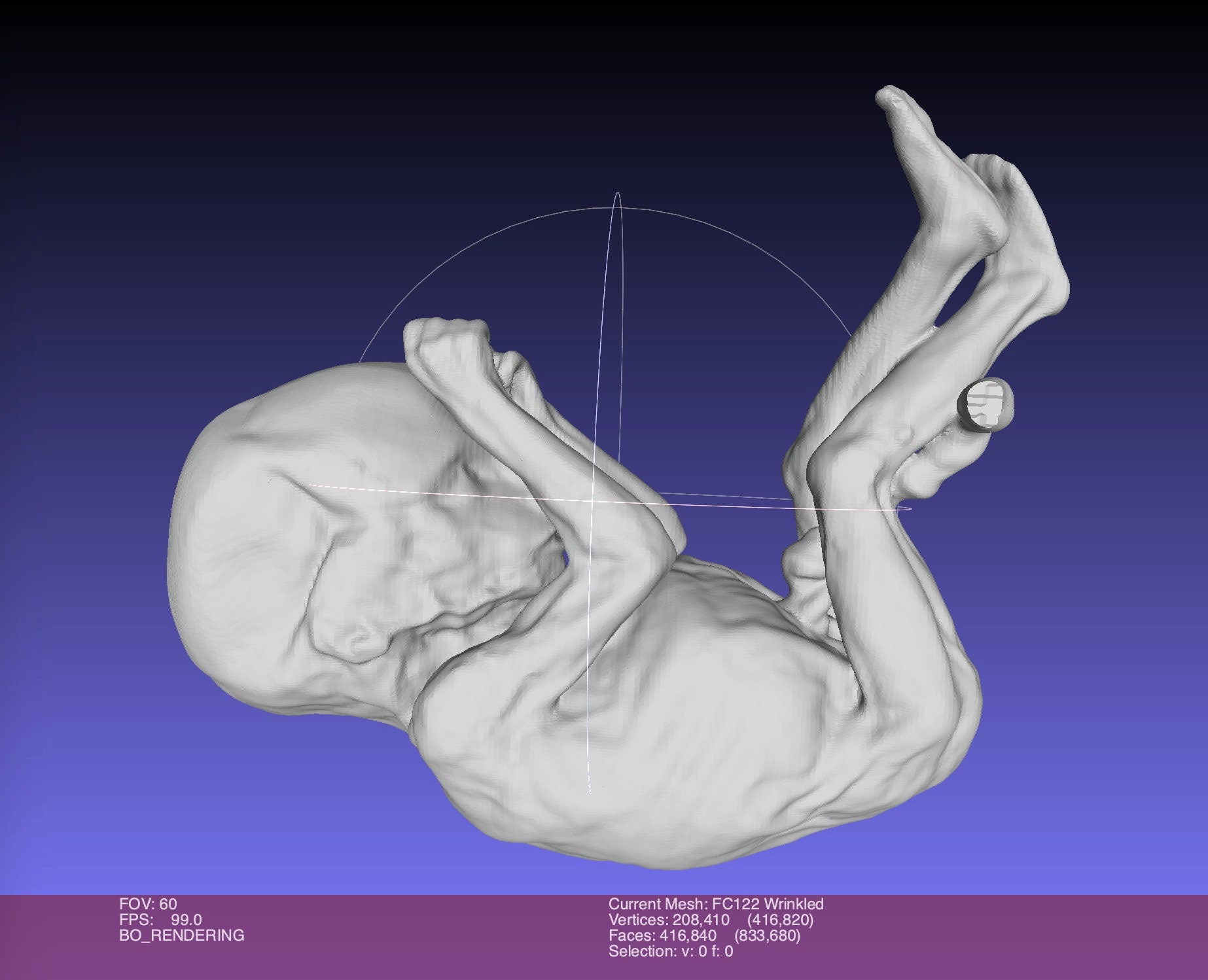 NEW Rare High Resolution 3D Scan Human Fetus 16-20 Weeks Old 100 Yr Old ...