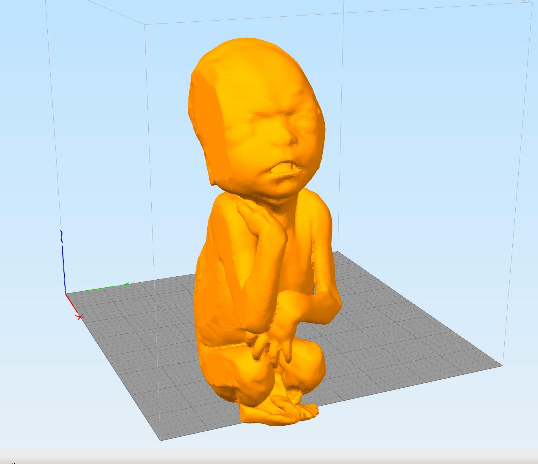 NEW!~ Rare High Resolution 3D Scan Human Fetus 16 Weeks Old 100 Yr Old ...