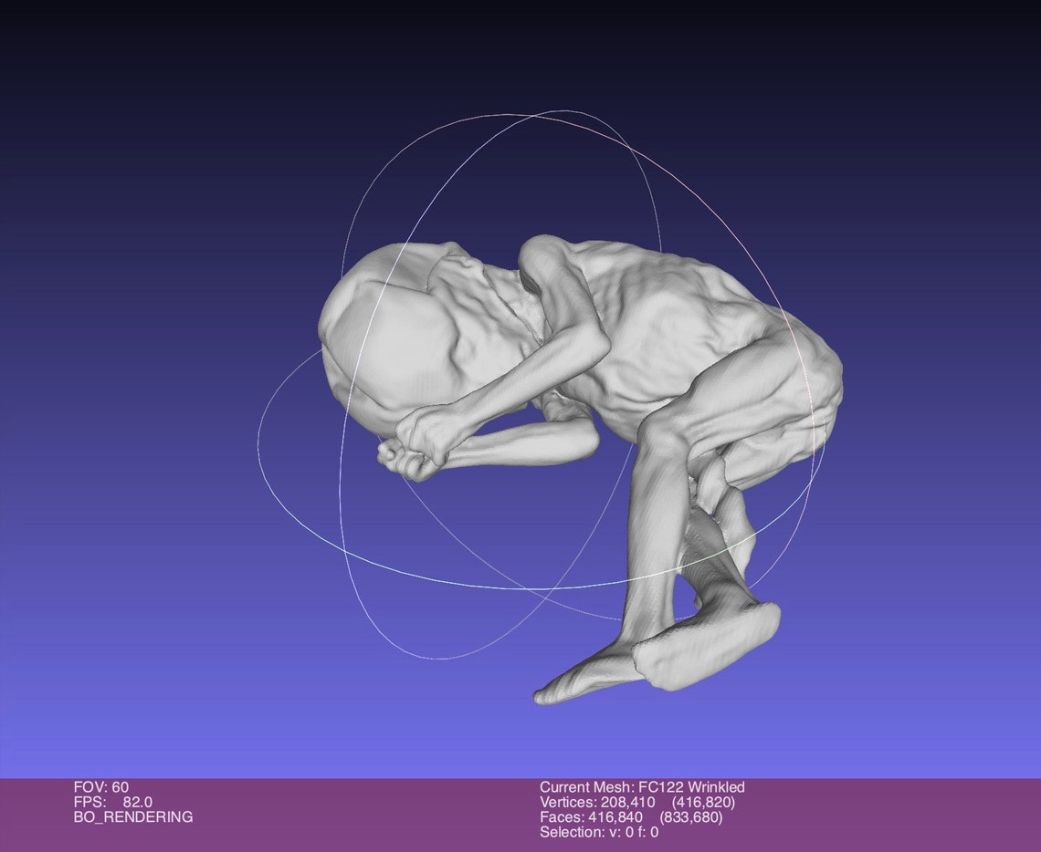 NEW Rare High Resolution 3D Scan Human Fetus 16-20 Weeks Old 100 Yr Old ...