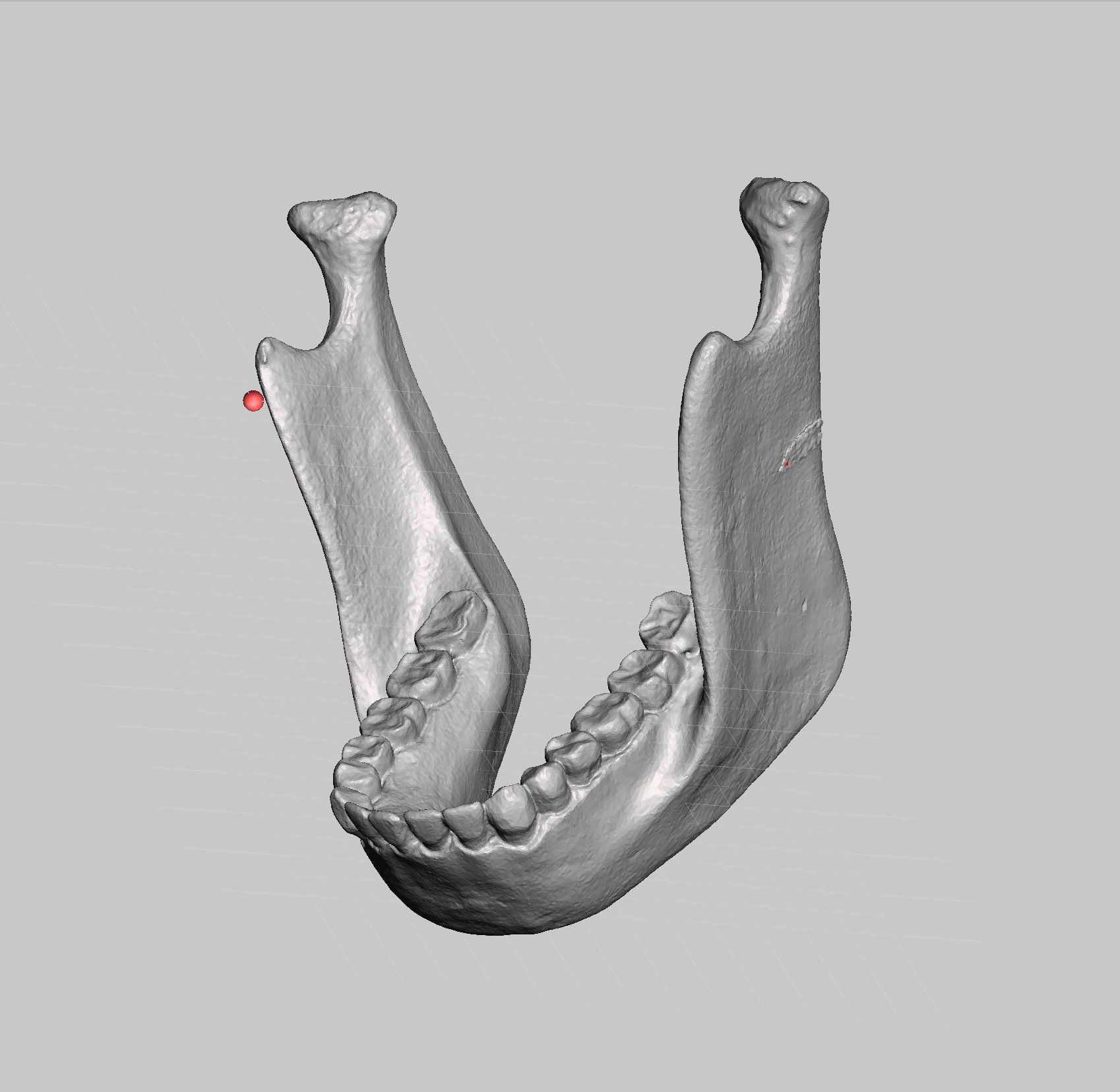 MRS. PLES, Australopithecus Africanus, Ancient Hominid Skull Museum ...