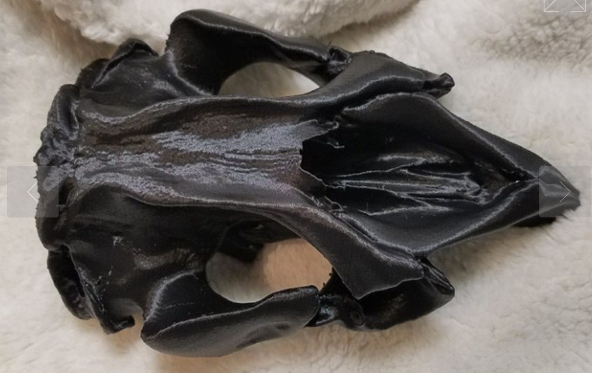 Manatee Skull and Mandible High Resolution Scan - Etsy