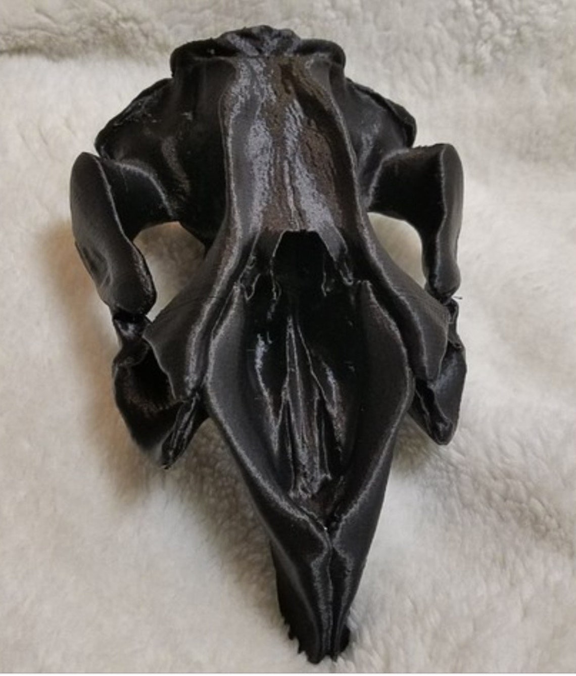 Manatee Skull and Mandible High Resolution Scan | Etsy