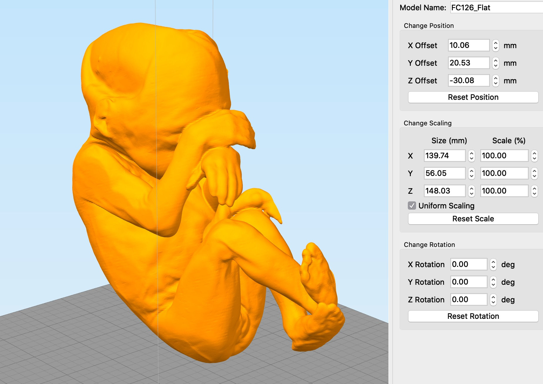 NEW Rare High Resolution 3D Scan Human Fetus 26 Weeks Old 100 Yr Old ...