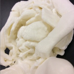 CYCLOPS Rare High Resolution 3D Scan Human Fetus 36 Weeks Old ...