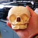 Phineas Gage Skull, harvard CT SCAN, Museum Quality High Resolution STL ...