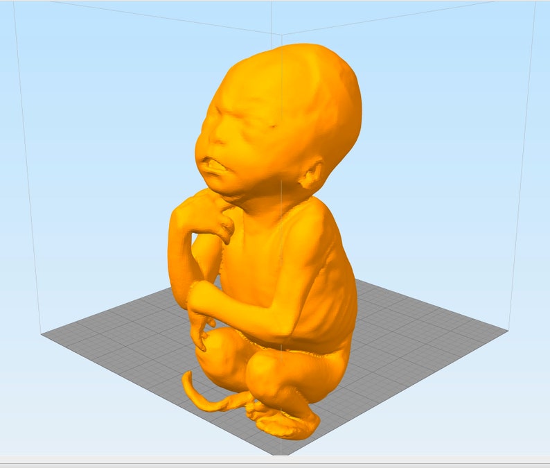 NEW Rare High Resolution 3D Scan Human Fetus 16 Weeks Old 100 Yr Old ...