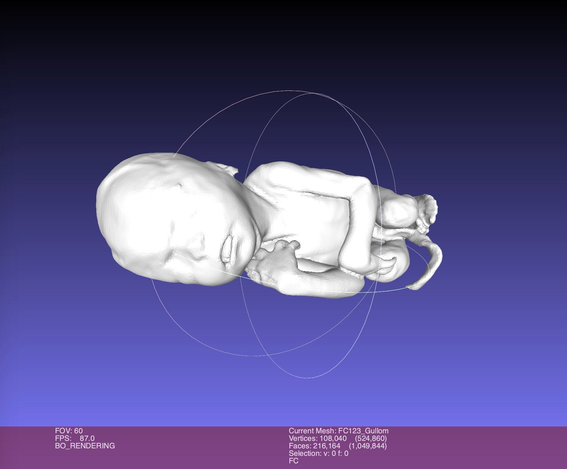 NEW Rare High Resolution 3D Scan Human Fetus 16 Weeks Old 100 Yr Old ...