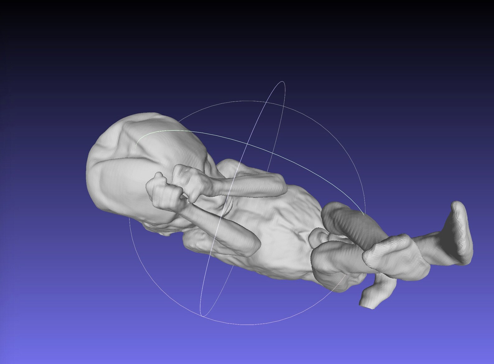 NEW Rare High Resolution 3D Scan Human Fetus 16-20 Weeks Old 100 Yr Old ...
