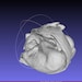 Cutaway View Human Fetus in Utero, 20 Week Old STL, Rare High ...