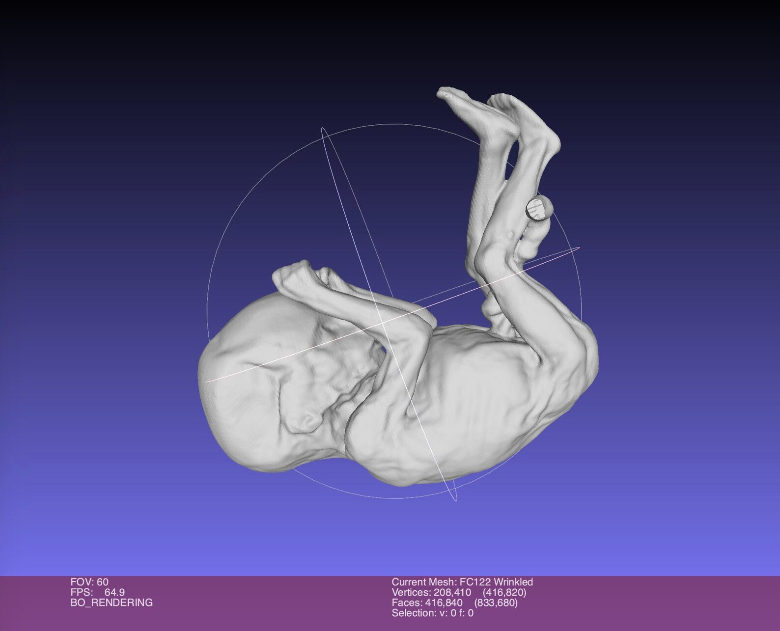 NEW Rare High Resolution 3D Scan Human Fetus 16-20 Weeks Old - Etsy