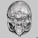 African American Male Skull and Jaw, LARGE Inion Hook (modern Human CT ...