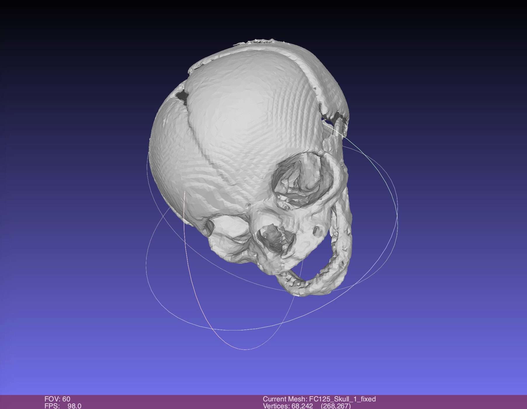 NEW Rare High Resolution 3D Scan of 36 Week Old Human Twin - Etsy