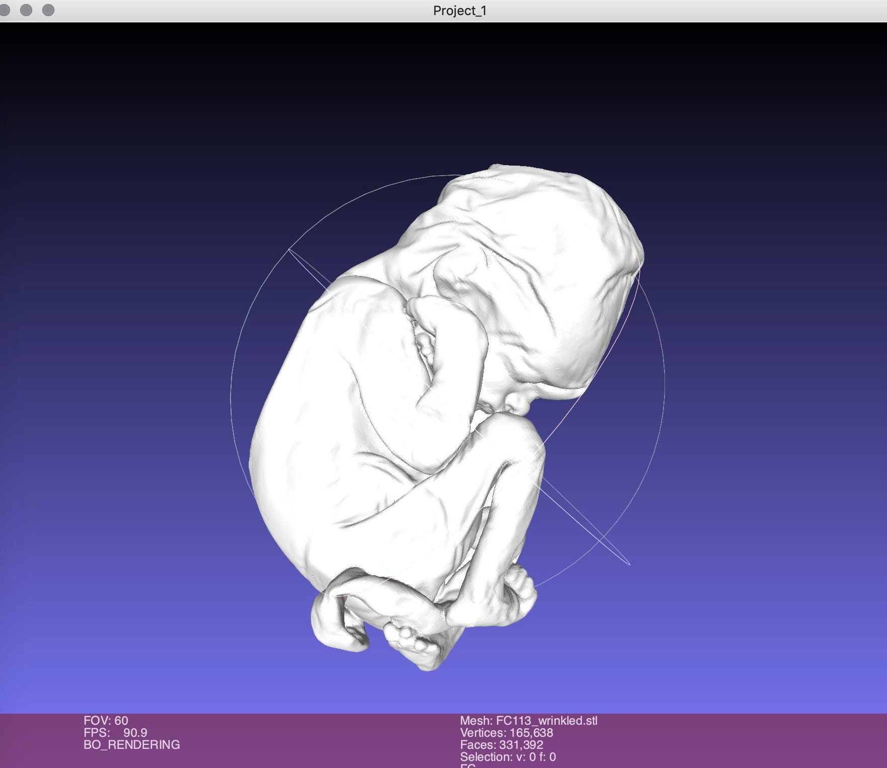 NEW Rare High Resolution 3D Scan Human Fetus 14 Weeks Old 100 Yr Old ...