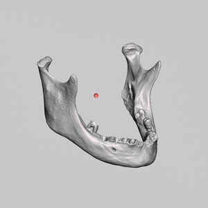 Early 20th Century Asian Female Skull and Jaw, from Human CT Scan. High ...