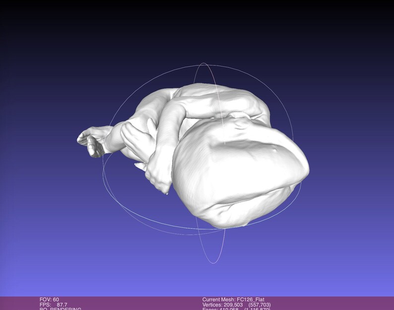 NEW!~ Rare High Resolution 3D Scan Human Fetus 26 Weeks Old 100 Yr Old ...