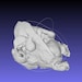 Cutaway View Human Fetus in Utero, 20 Week Old STL, Rare High ...