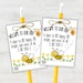 Bee Theme Back to School Tags, Meet the Teacher Tag, Meet the Teacher ...