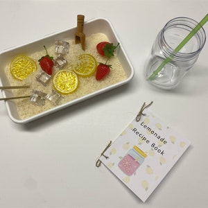 Strawberry Lemonade Stand Sensory Bin. Learning Sensory Busy Toy ...