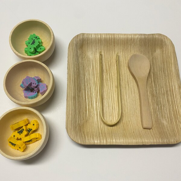 Montessori Dinosaur - Etsy