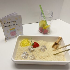 Strawberry Lemonade Stand Sensory Bin. Learning Sensory Busy Toy ...