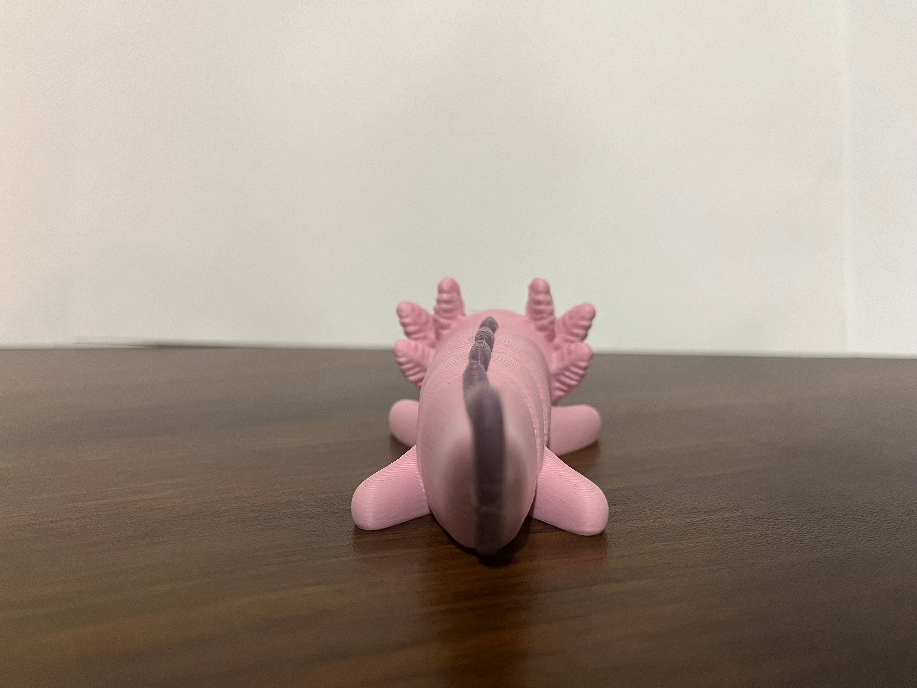 Axolotl Fidget Toy for Kids Satisfying Toy for ADHD and - Etsy