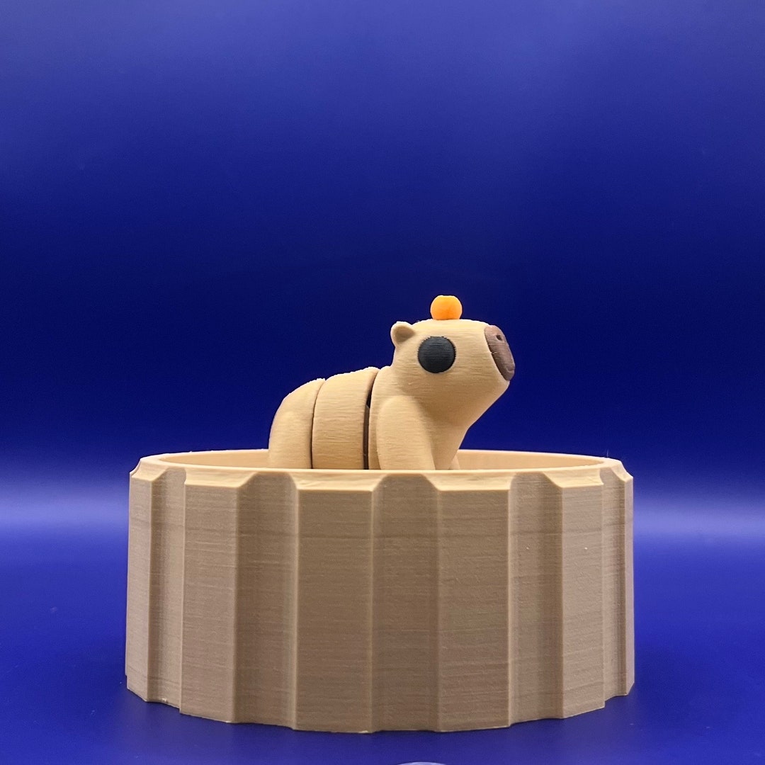 Capybara Fidget Toy for Kids Satisfying Toy for ADHD and Anxiety ...