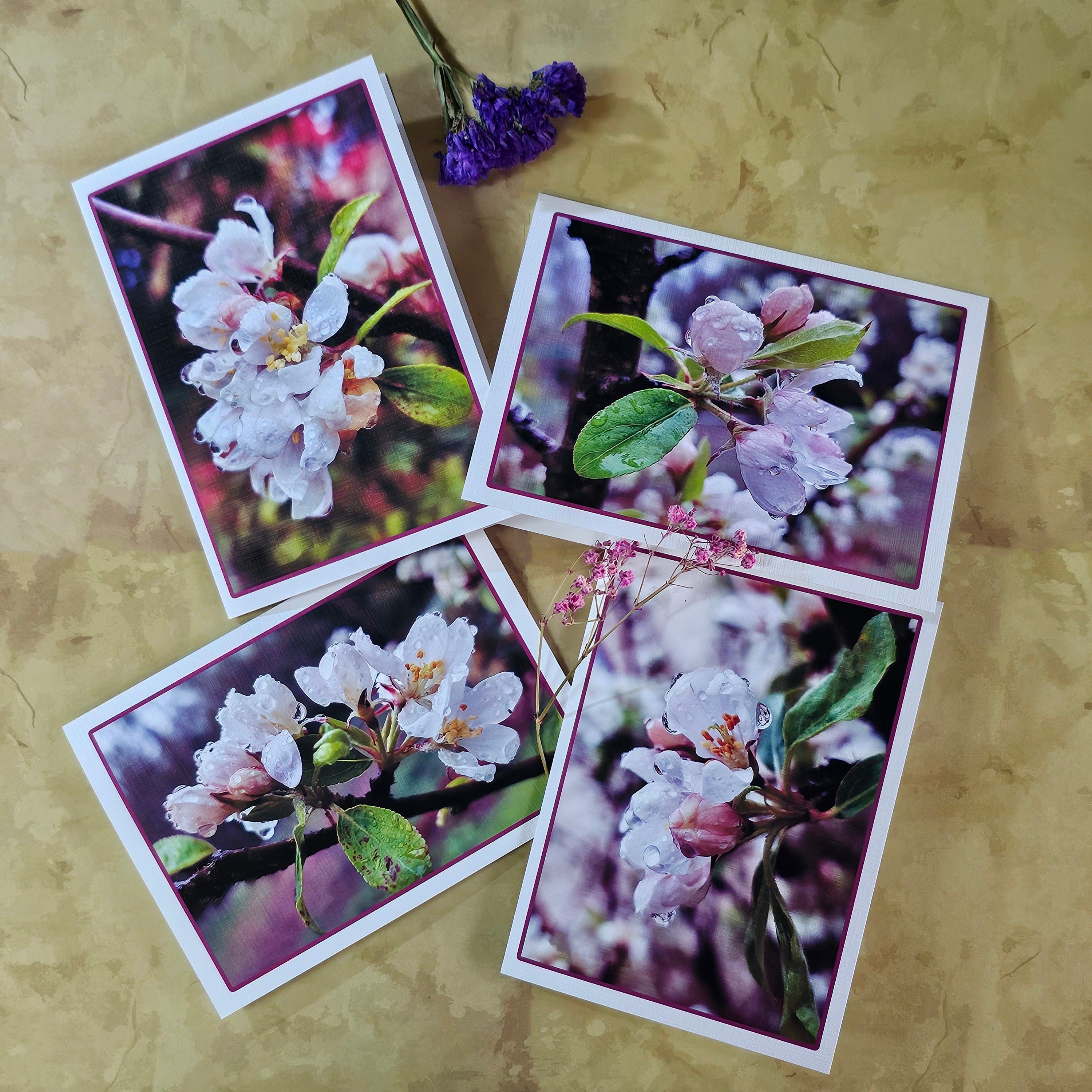 Apple Flowers Original Photo Art Greeting Cards With Envelopes-floral 4 ...