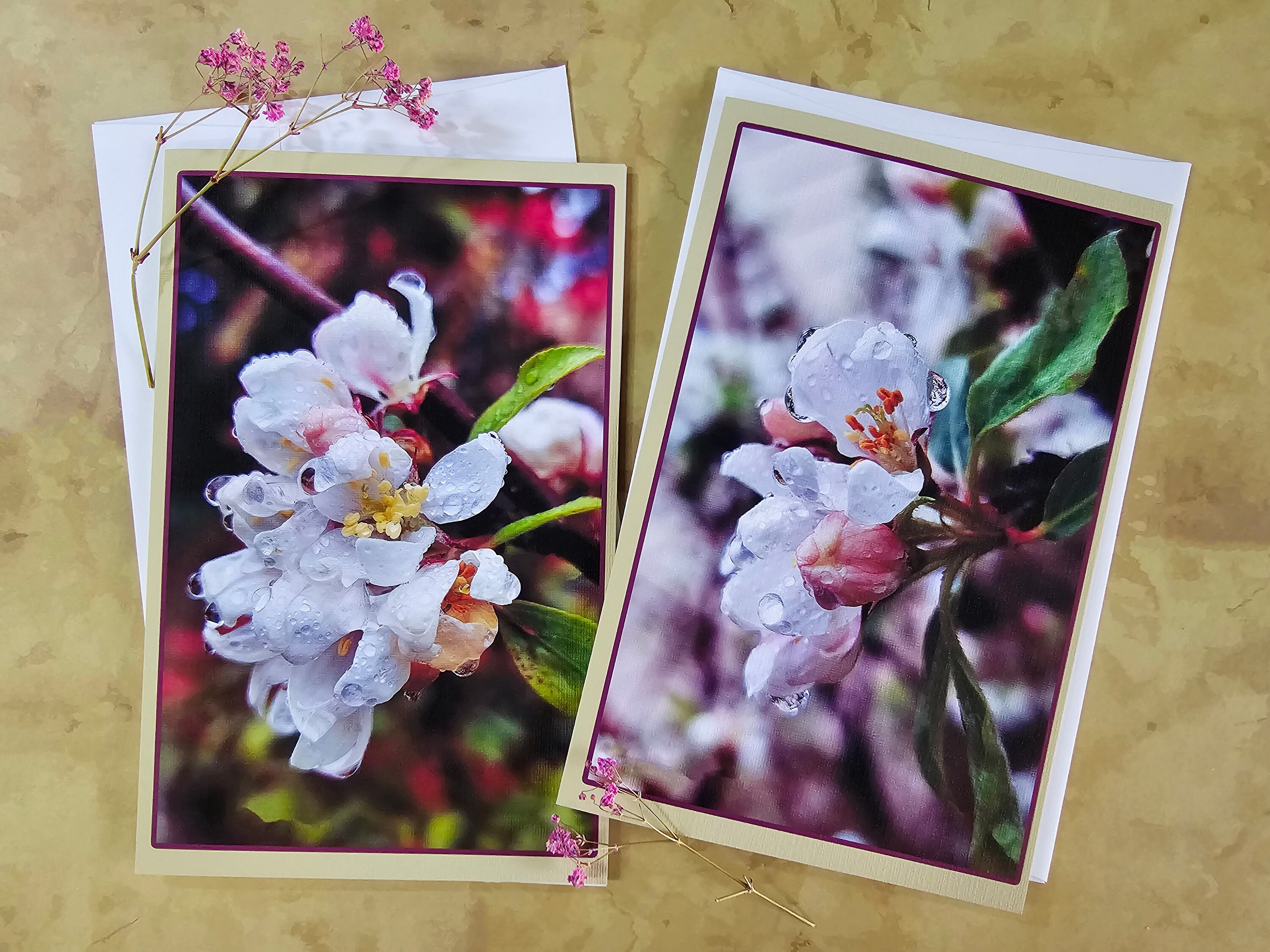 Apple Flowers Original Photo Art Greeting Cards With Envelopes-floral 4 ...