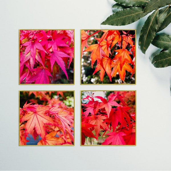 8x8 Photo Print - Etsy