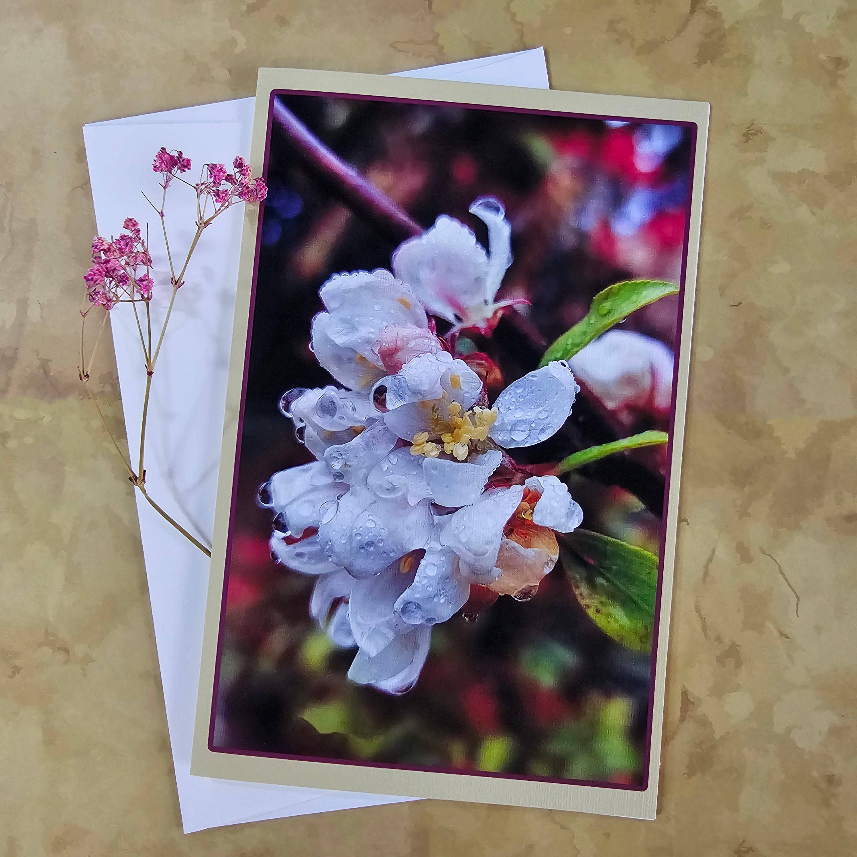 Apple Flowers Original Photo Art Greeting Cards With Envelopes-floral 4 ...