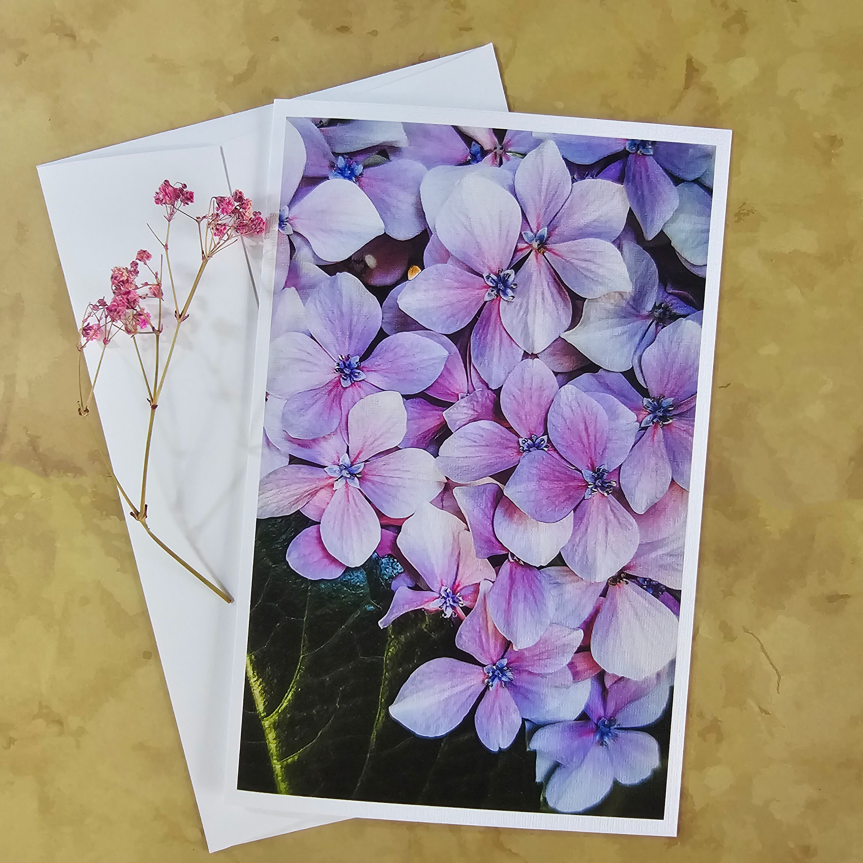 Hydrangea Blossoms Original Photo Art Greeting Cards With Envelopes ...