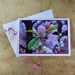 Apple Flowers Original Photo Art Greeting Cards With Envelopes-floral 4 ...