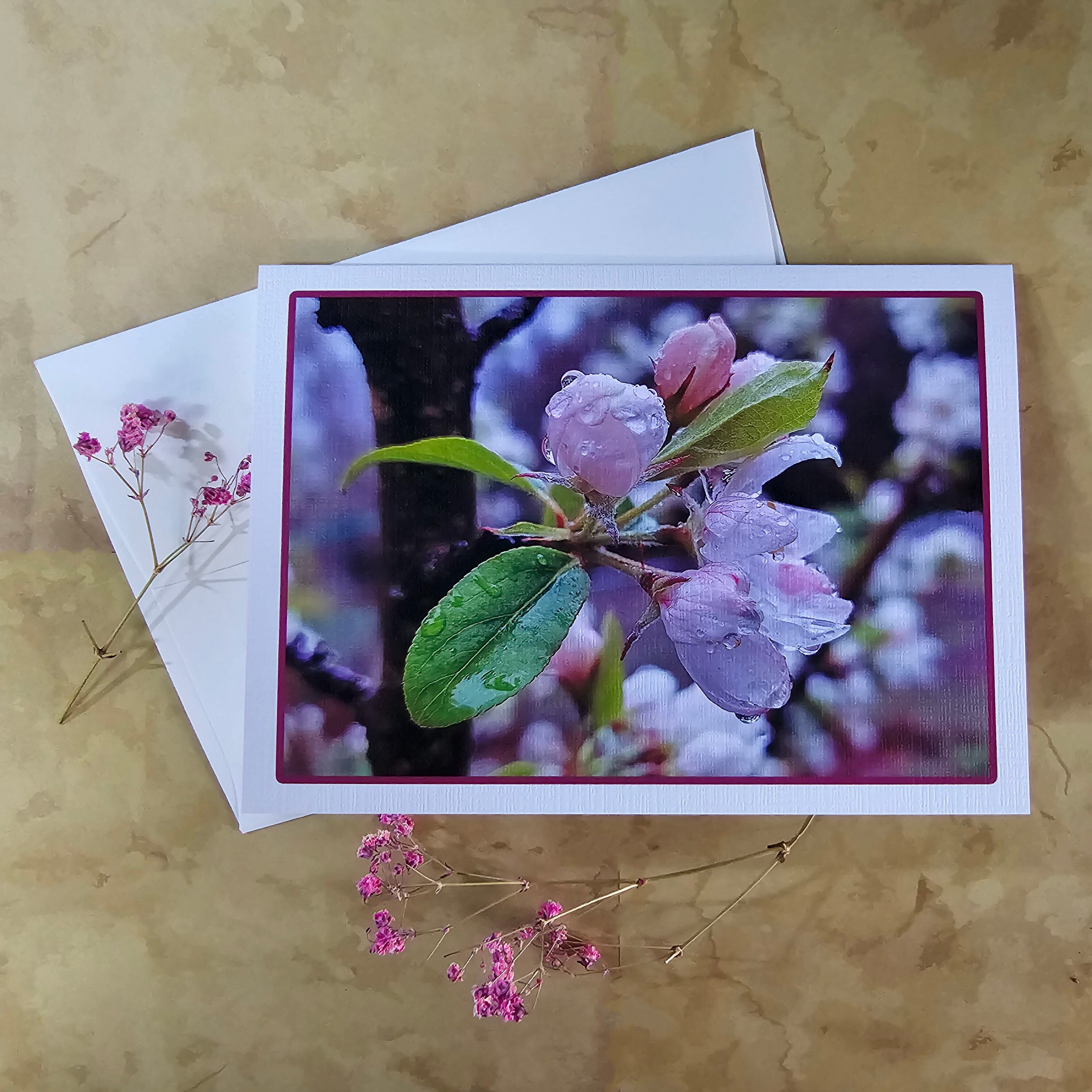 Apple Flowers Original Photo Art Greeting Cards With Envelopes-floral 4 ...