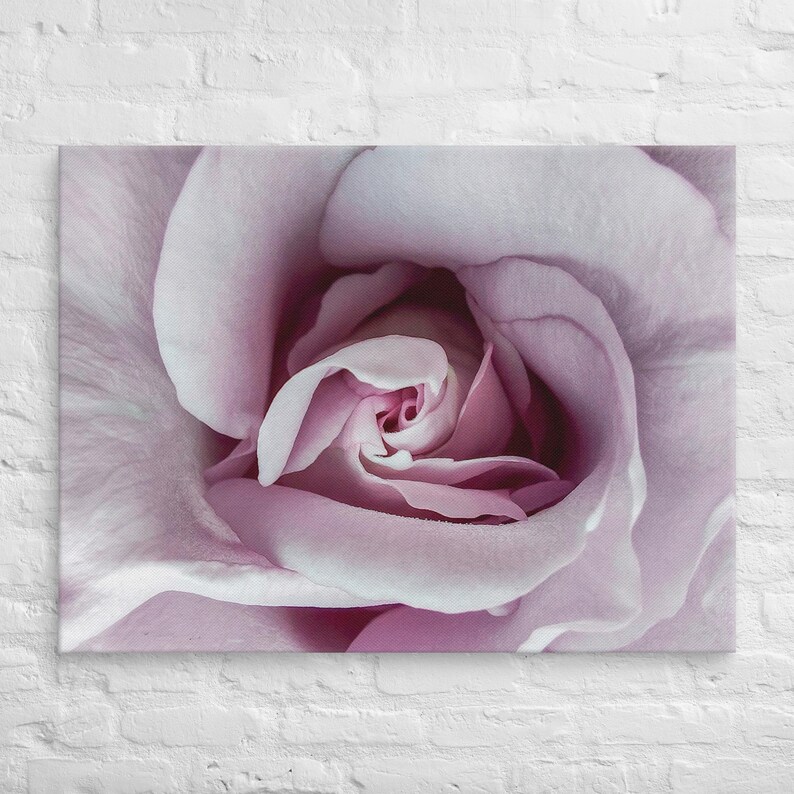 Purple Rose Macro Photography | Gallery Wrapped Canvas Horizontal Print ...