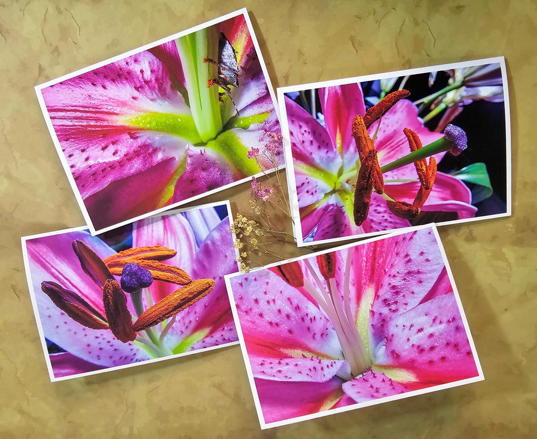 Pink Lily Flowers Original Photo Art Greeting Cards With Envelopes ...