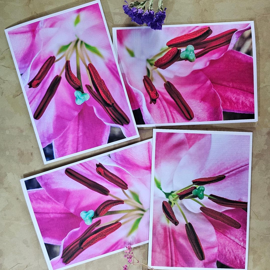 Pink Lily Flowers Original Photo Art Greeting Cards With Envelopes ...