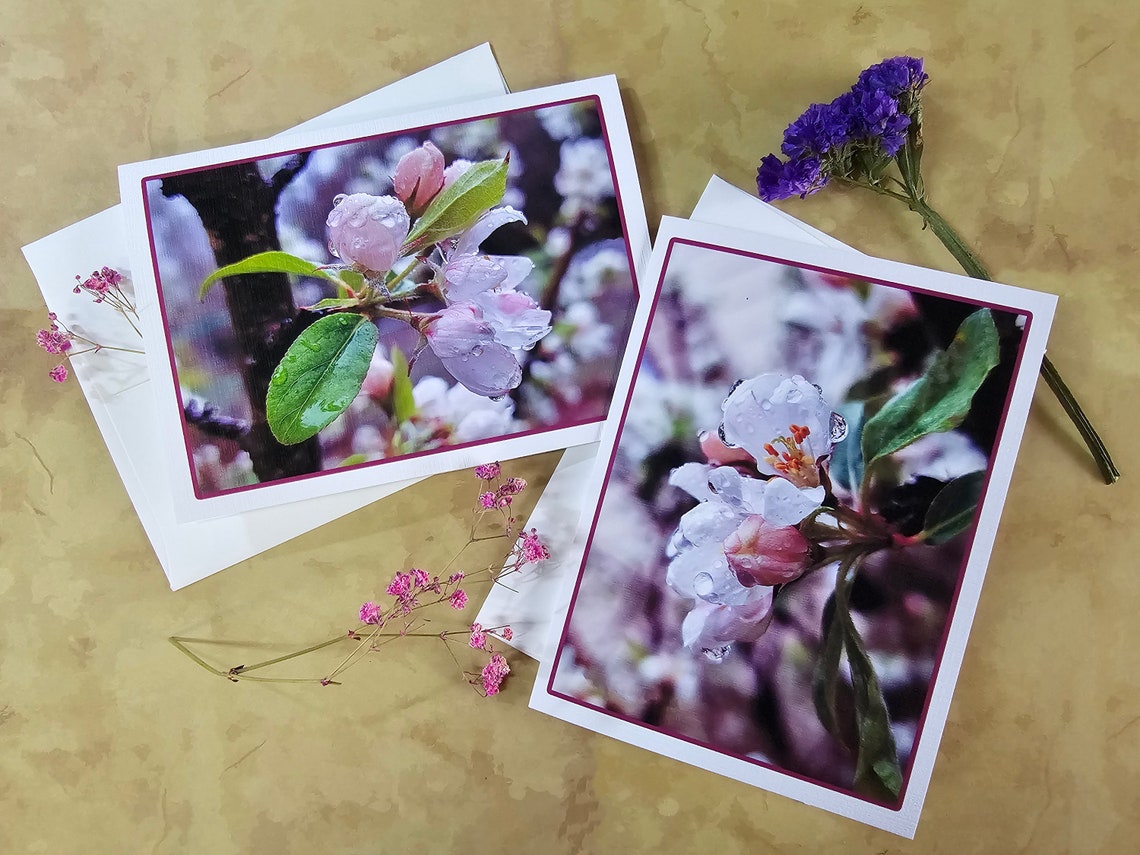 Apple Flowers Original Photo Art Greeting Cards With Envelopes-floral 4 ...