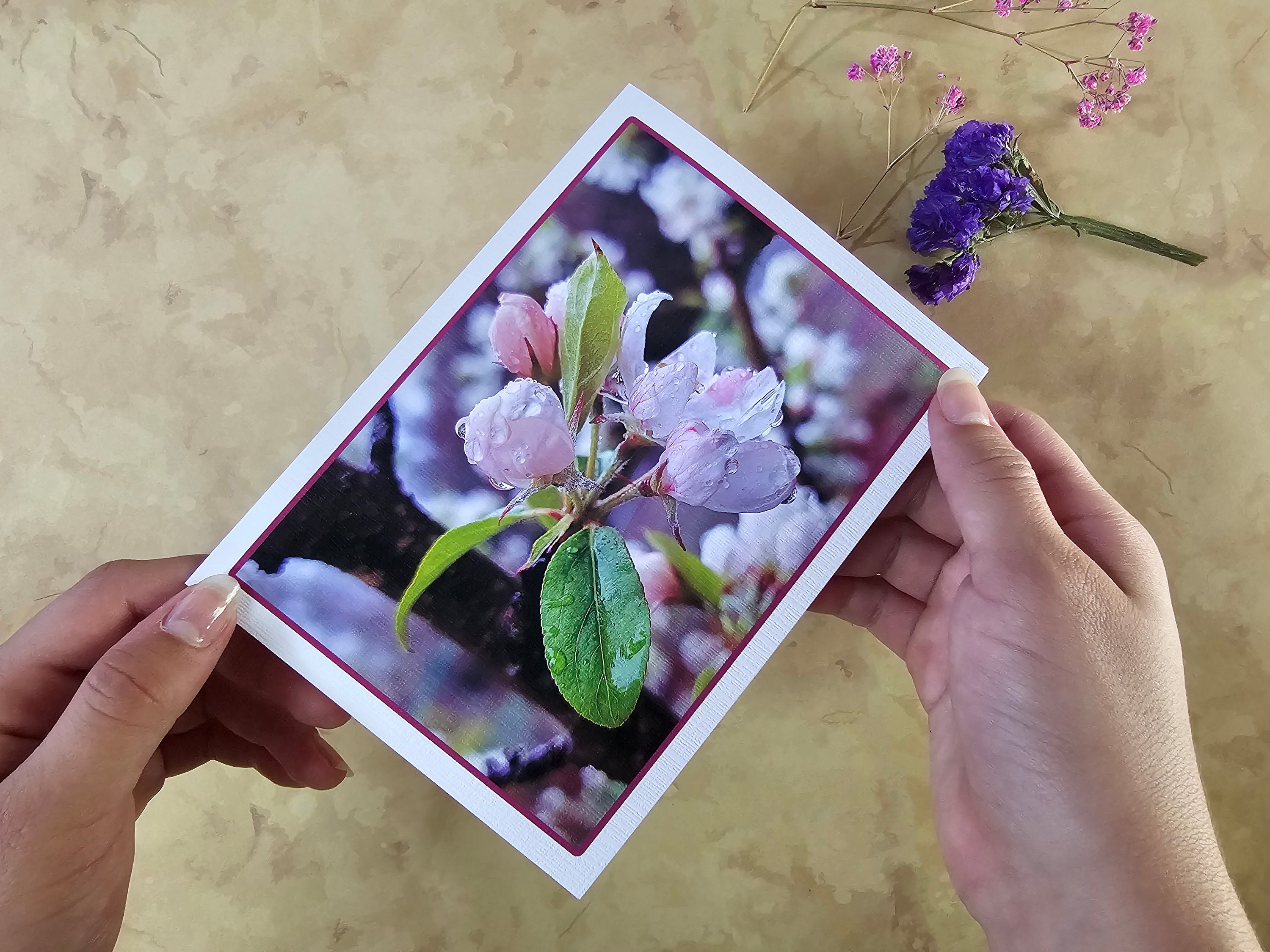 Apple Flowers Original Photo Art Greeting Cards With Envelopes-floral 4 ...