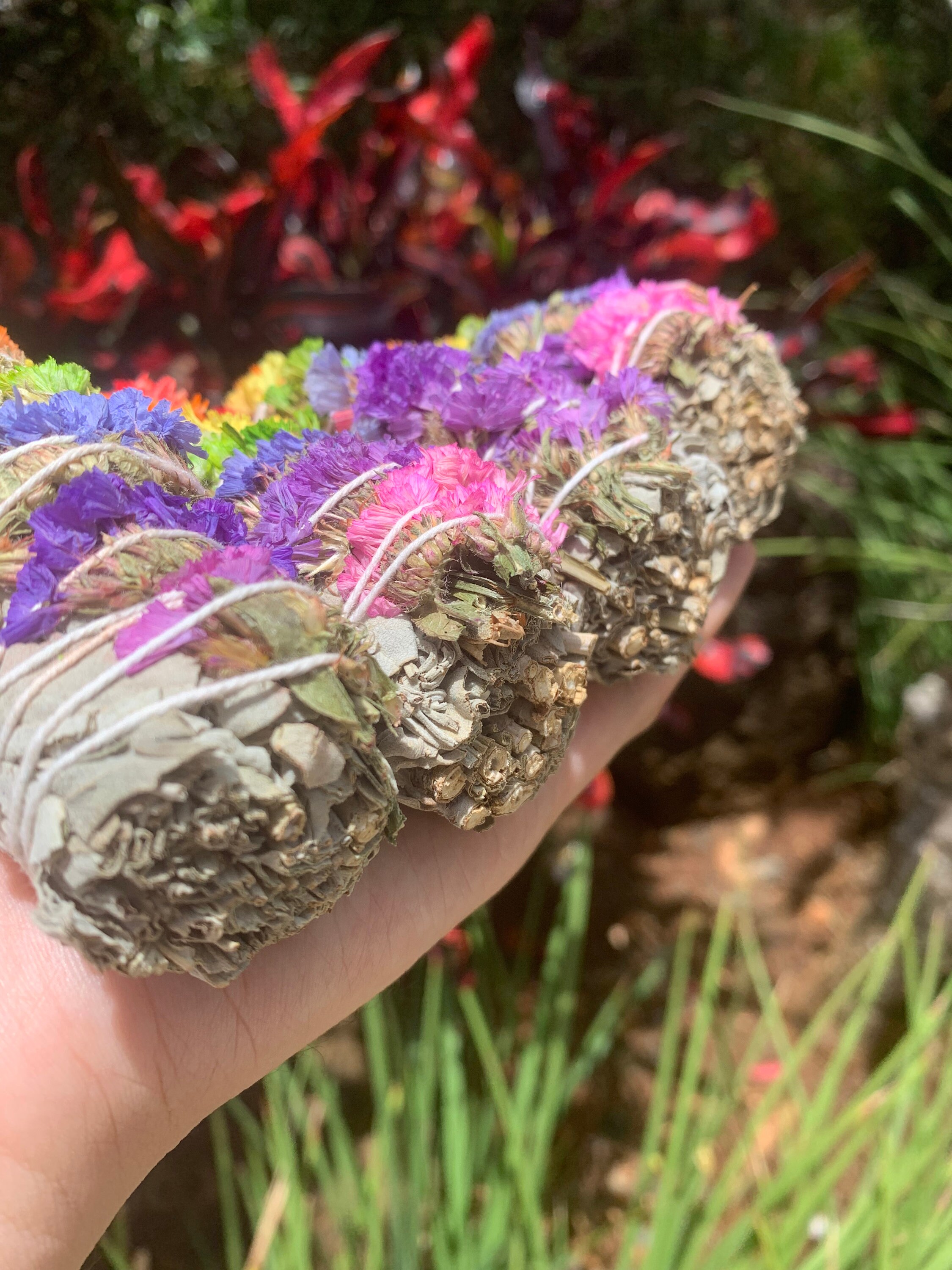 Sage, Rainbow Flower Sage, Flower Sage, White Sage, Ritual Sage ...